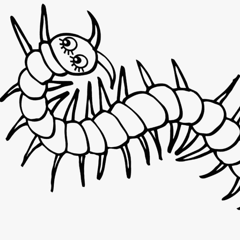 Иконка канала Scolopendra Games