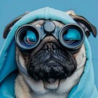 Иконка канала avia.kidys