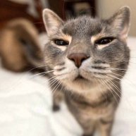 Иконка канала Dragon_Glass25