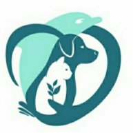 Иконка канала Приют для бездомных собак ZOOGELENDZHIK