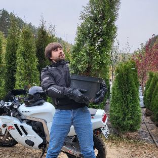 Иконка канала Вижу TREES, о деревьях и нетолько