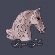 Иконка канала Breyer Films