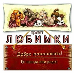 Иконка канала Приют "Любимки"