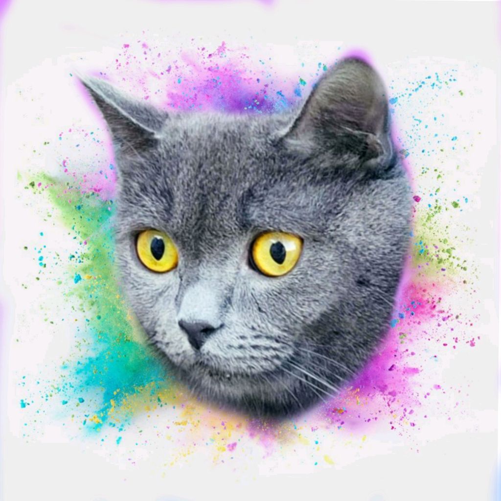 Канал Fanny cat Boni смотри онлайн на RUTUBE!