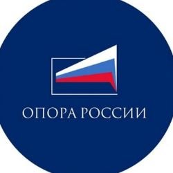 Иконка канала ОПОРА РОССИИ Ульяновск