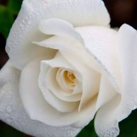 Иконка канала Для Вас!