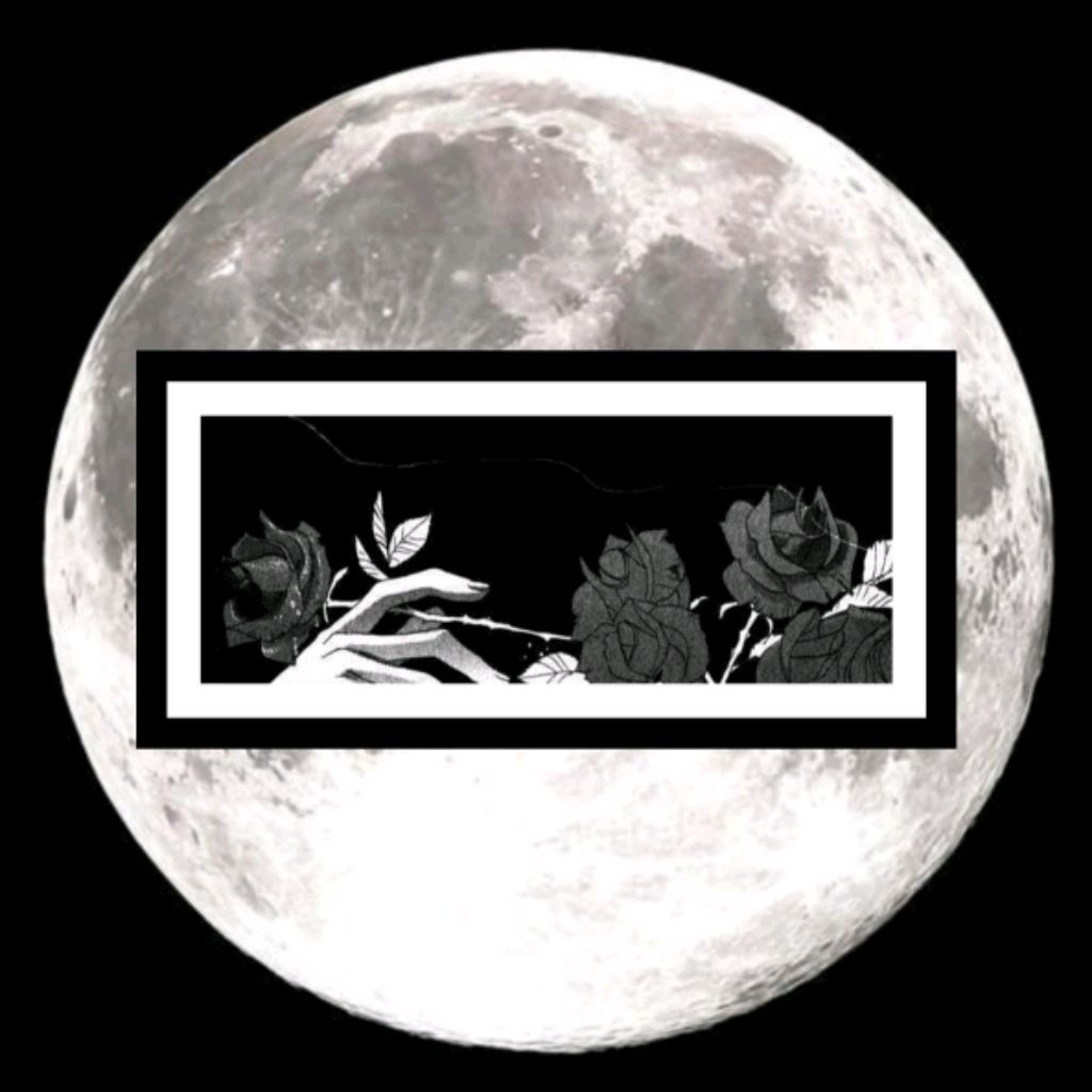 Иконка канала Sleepless Nights
