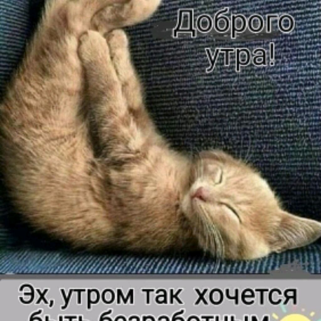 rutube_account_22223992 на RUTUBE: 1 видео – смотреть онлайн и бесплатно (22223992)