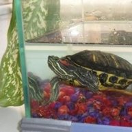 Иконка канала Новомихайловская детская библиотека