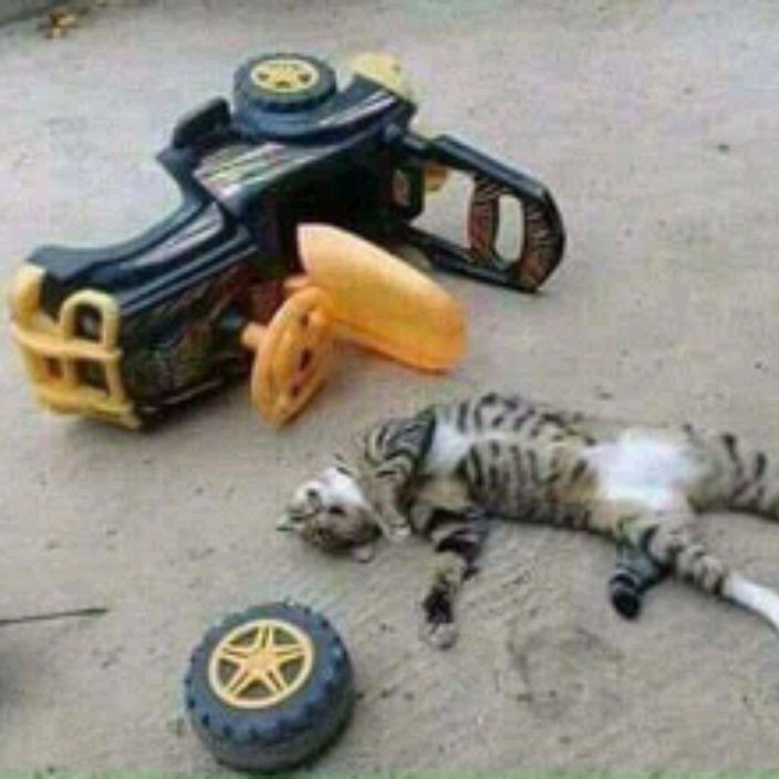 Иконка канала BAGA