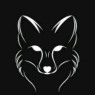 Иконка канала VIR BLACK FOX