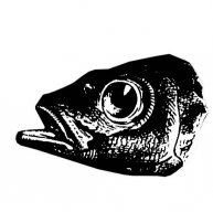 Иконка канала Stavrida Films