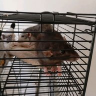 Иконка канала Nikita 37