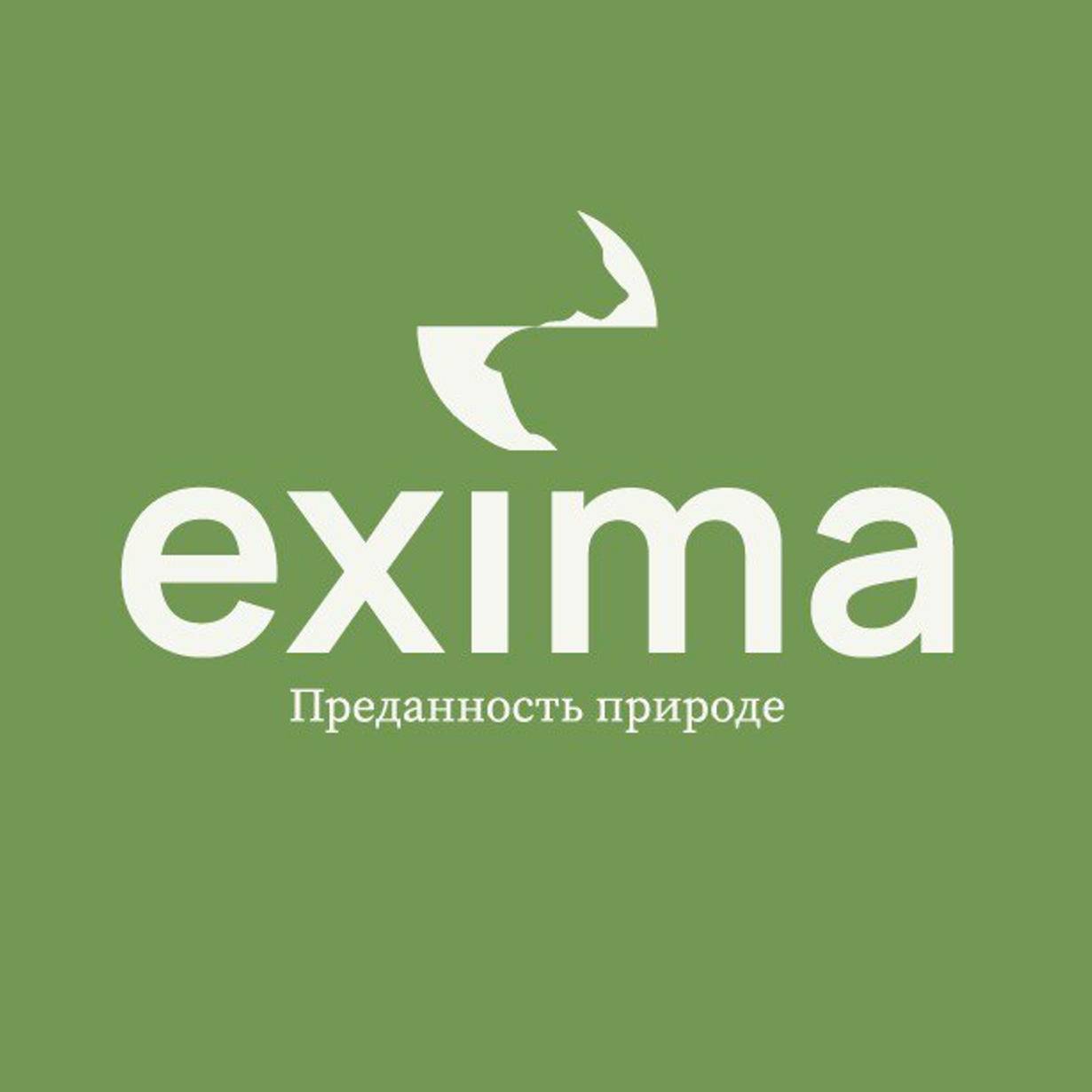 Иконка канала EXIMA - строительство домов из клееного бруса