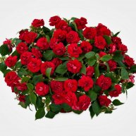 Иконка канала Семена12ru