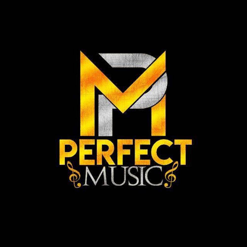 Иконка канала Perfect Music