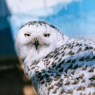 Иконка канала Валентина Вайт