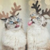 Иконка канала Ольгуня TV