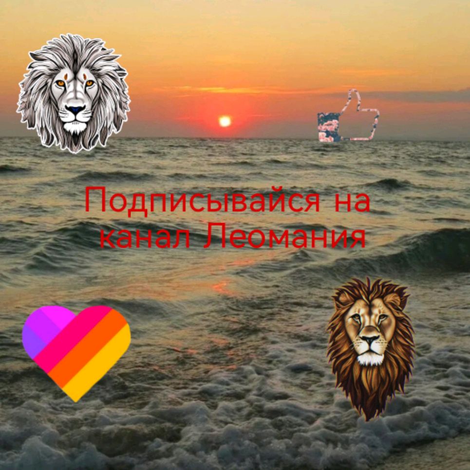 Иконка канала Леомания