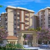 Иконка канала Nambiar District 25 Price