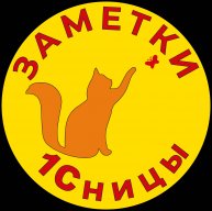 Иконка канала Заметки 1Сницы