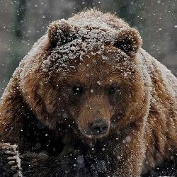 Иконка канала РУССКИЙ МИР И ГЕОПОЛИТИКА