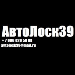 Иконка канала АвтоЛоск39