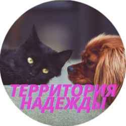 Иконка канала Кот и Пёс - Территория Надежды - Улан-Удэ