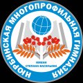 Иконка канала МБОУ "НМПГ им. Степана Васильева"