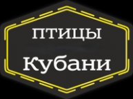Иконка канала Птицы Кубани