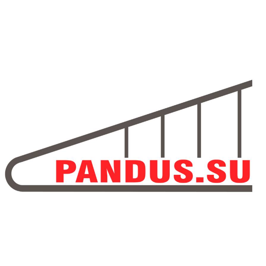 Иконка канала Pandus.SU - Доступная среда Пандус.СУ