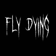 Иконка канала Fly Dying