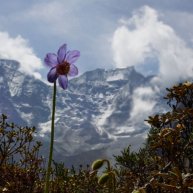 Иконка канала Пратибха प्रतिभा