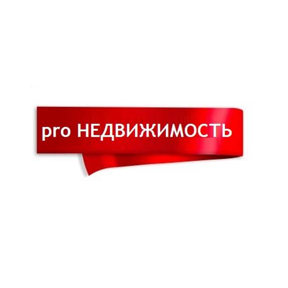 Иконка канала proНедвижимость в России и за рубежом