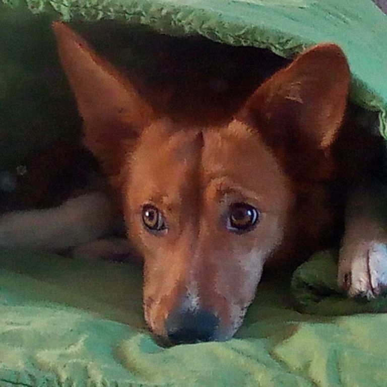 Иконка канала Ольга Калашникова