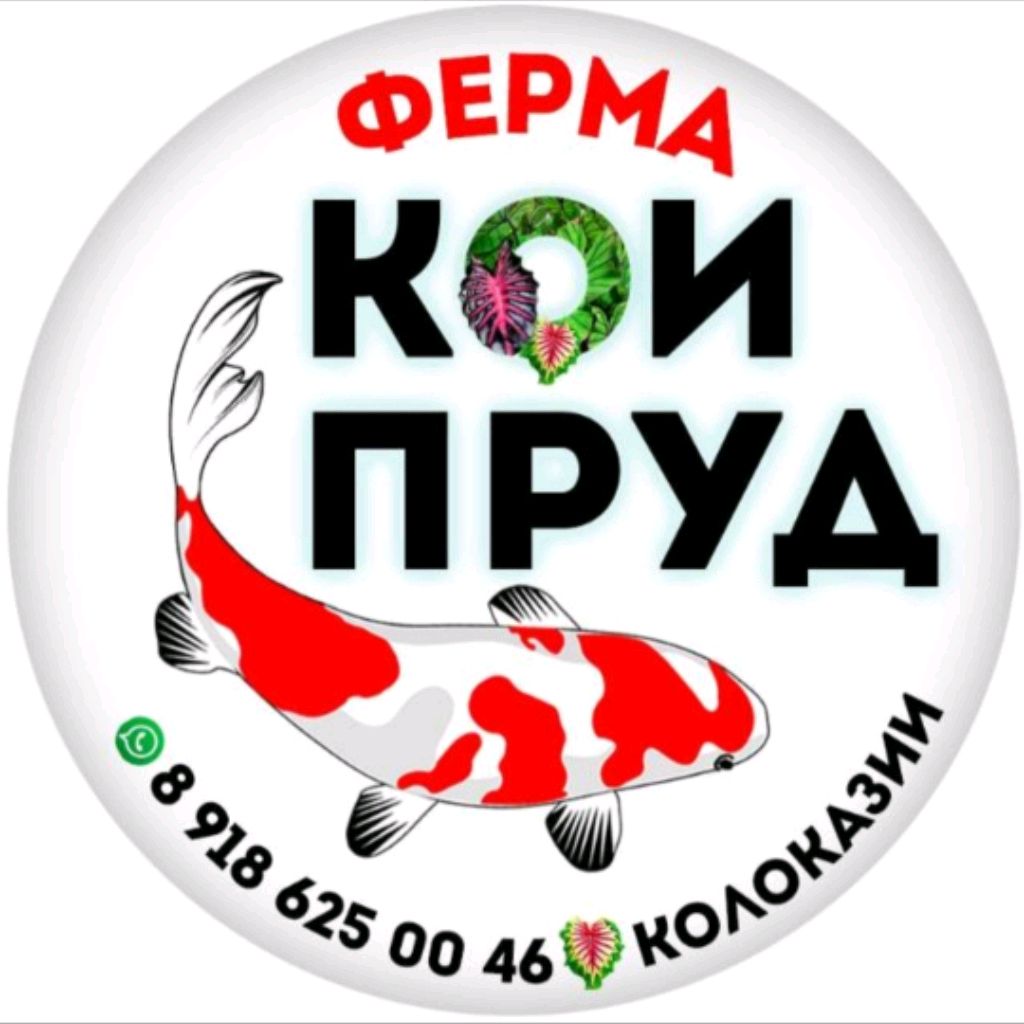 Иконка канала koi-prud-colocasia