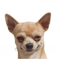 Иконка канала CharlesAin