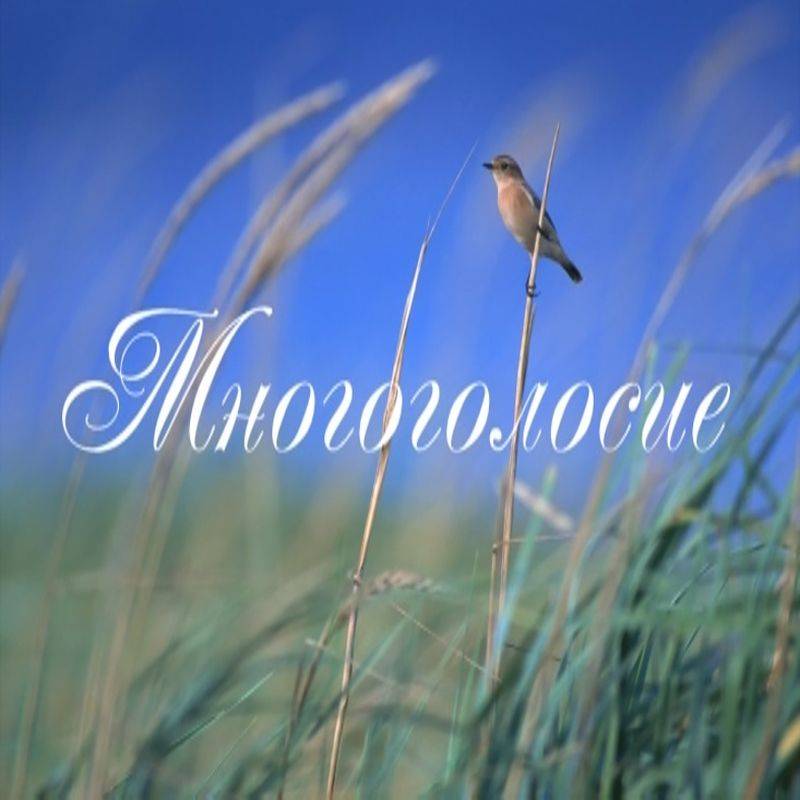 Иконка канала Многоголосие