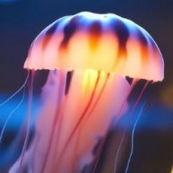 Иконка канала Meduza223