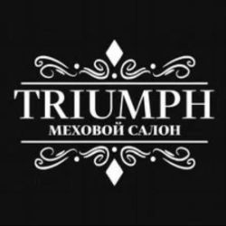 Иконка канала Triumph Меха