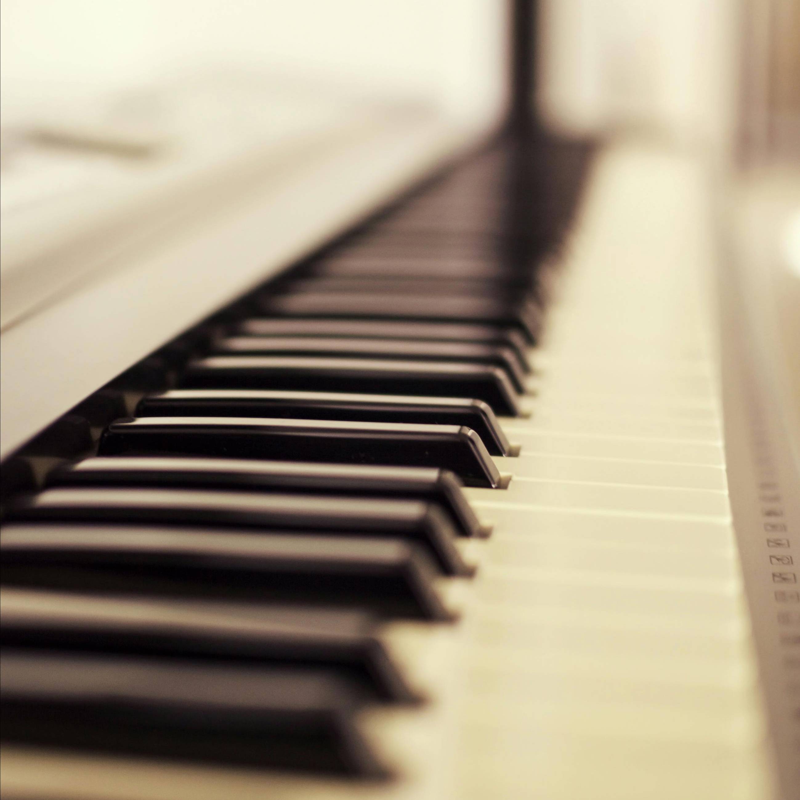 Иконка канала Волшебные звуки природы