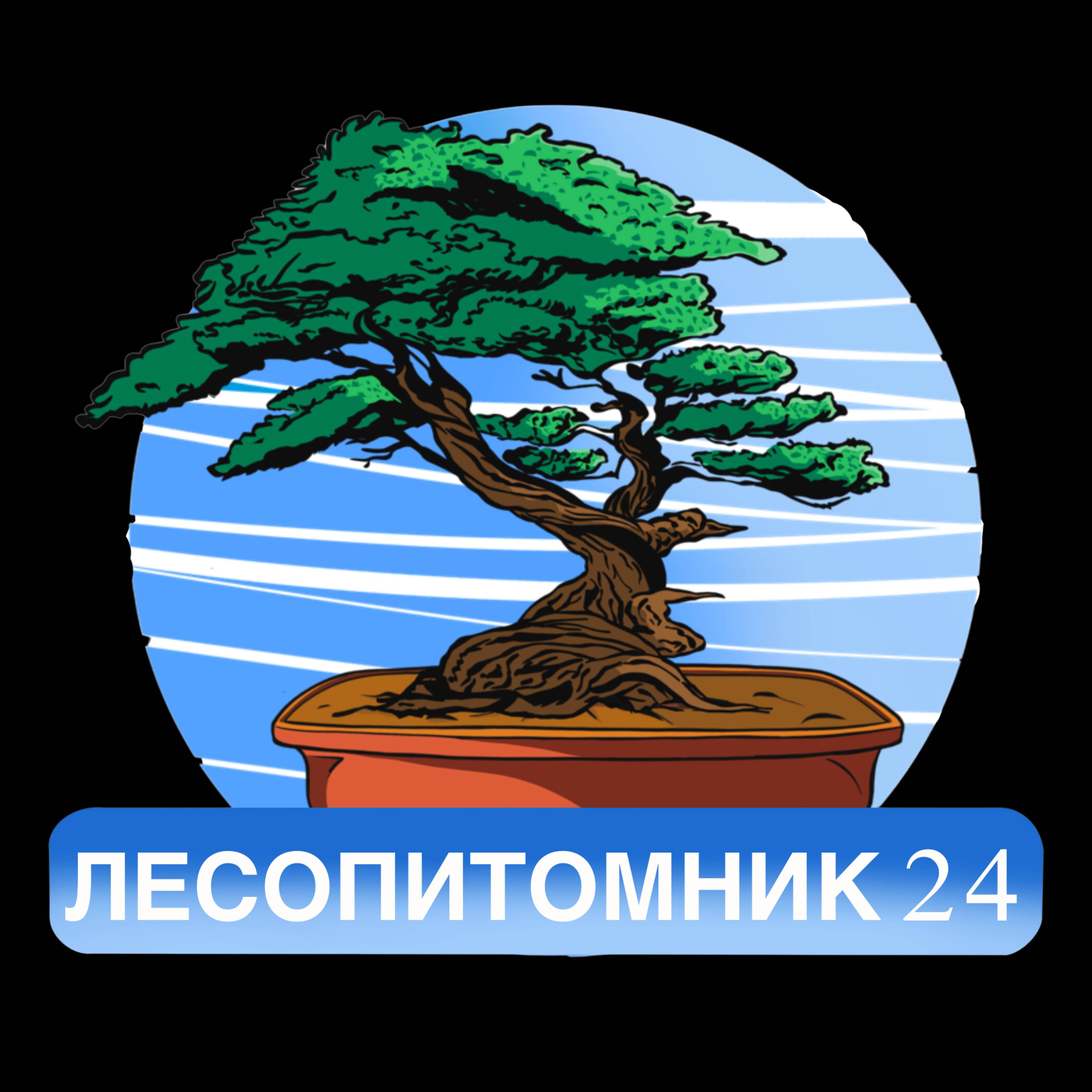 Иконка канала Лесопитомник 24