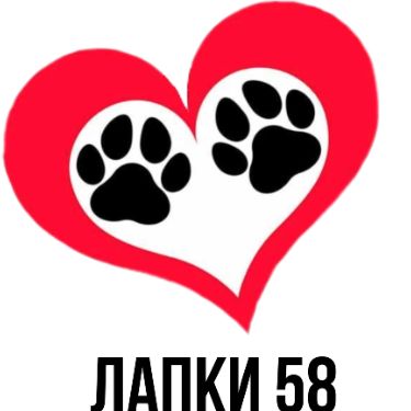 Иконка канала Лапки58