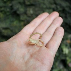 Иконка канала channel37040688