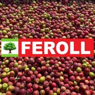 Иконка канала FEROLL - МОЩНО и СОЧНО