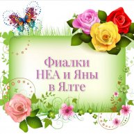 Иконка канала Фиалки НЕА и Яны в Ялте