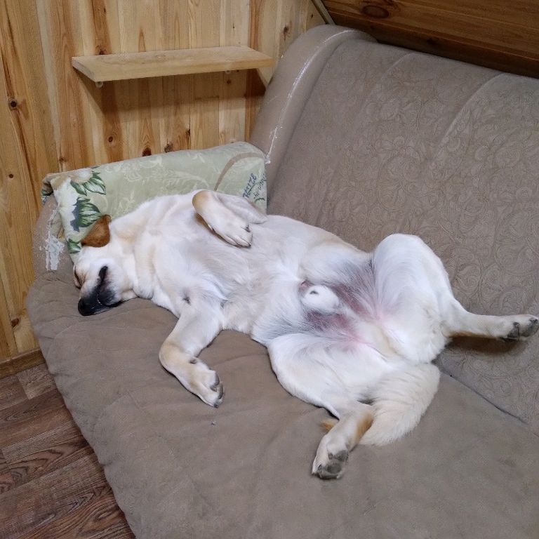 Иконка канала Степан чернышев