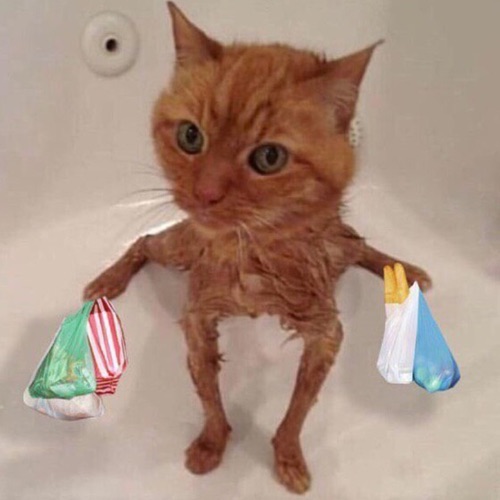 Иконка канала Котейка