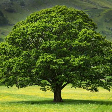 Иконка канала Garage video