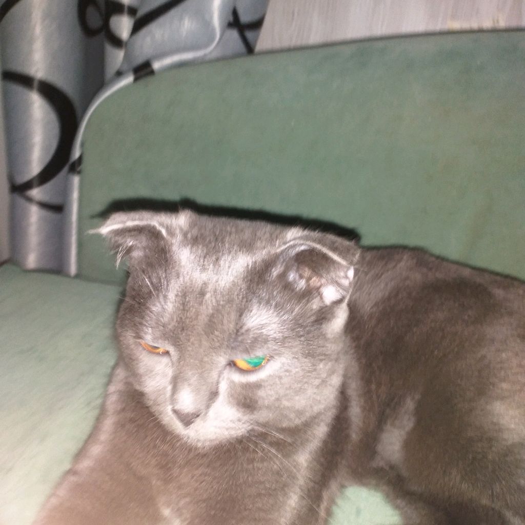 Иконка канала Мир Муравьёв